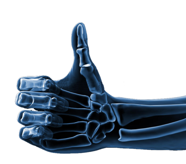 IRIA UP Chapter – Indian Radiological & Imaging Association UP Chapter